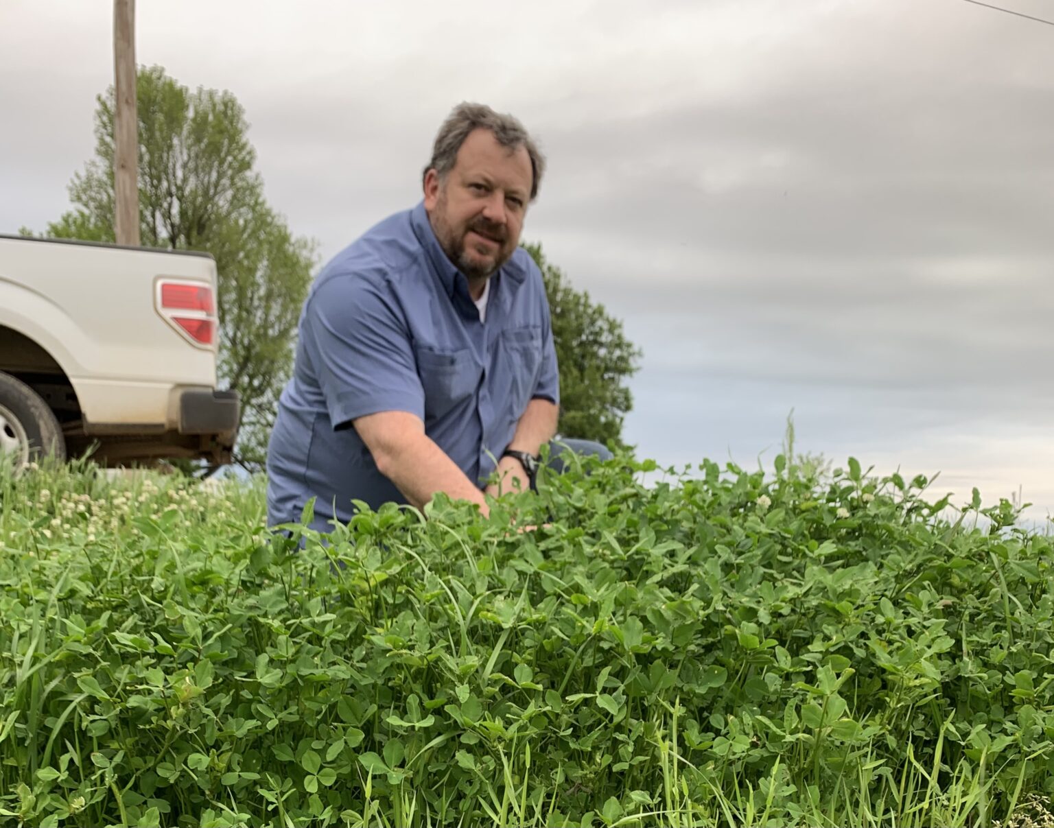 Buffalo System® Food Plot Seed | Eagle Seed - Eagle Seed, LLC