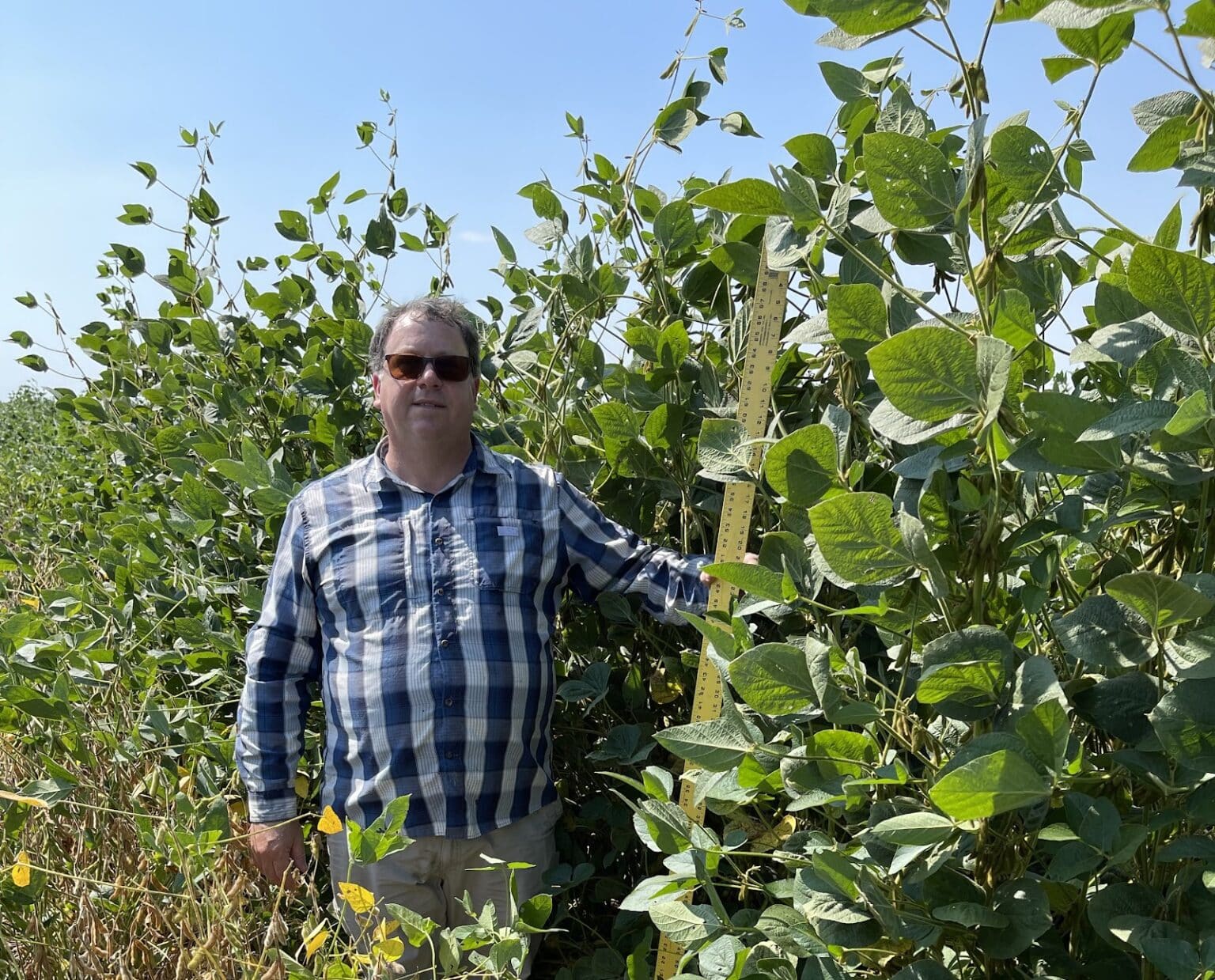 Forage Soybeans - Eagle Seed, LLC