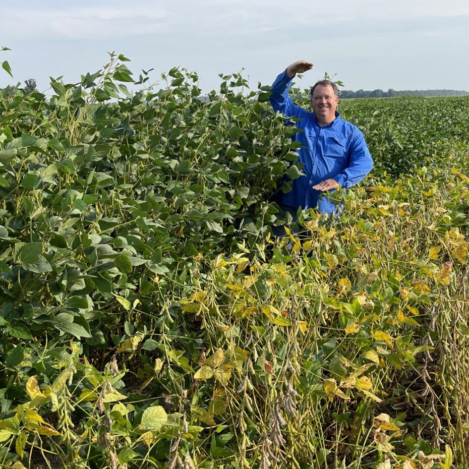 Big Fellow® Forage Soybean - Eagle Seed, LLC