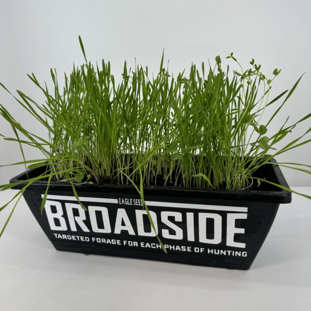 Broadside® Fall Blend - Small - Eagle Seed, LLC