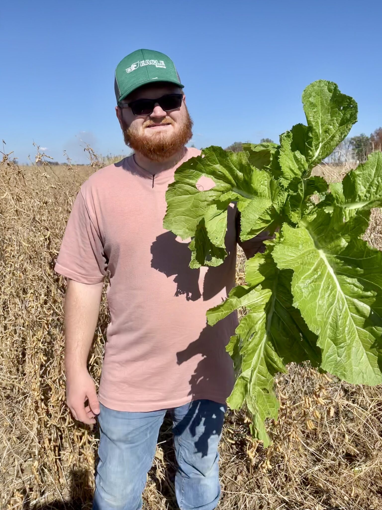 Fall Forage Crops and Seeds - Eagle Seed, LLC