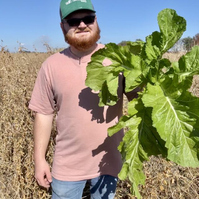 Forage Kale - Eagle Seed, LLC