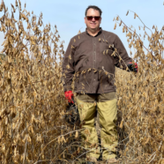 Spring Forage Crops and Seeds - Eagle Seed, LLC