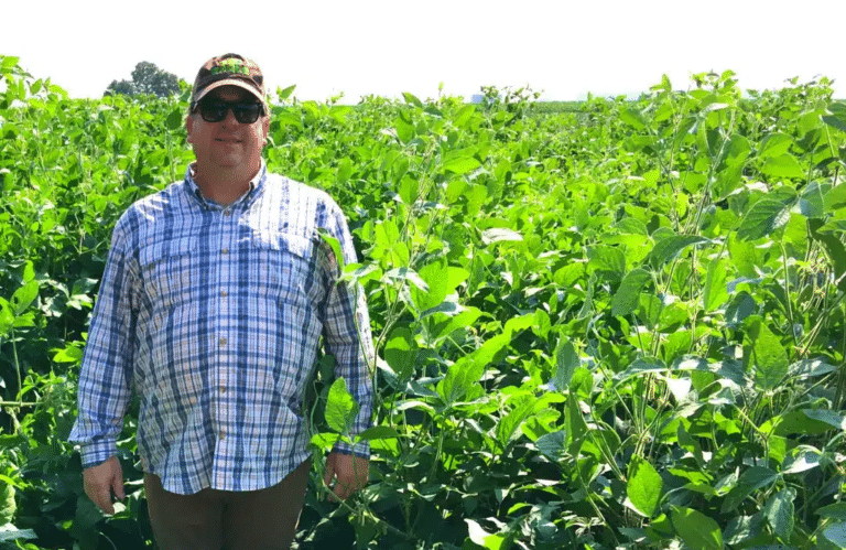 Best Formulated Forage Crops and Cover Crops | Eagle Seed LLC