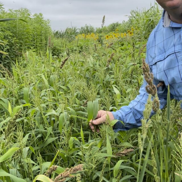 Waterfowl Keeper™ - Eagle Seed, LLC