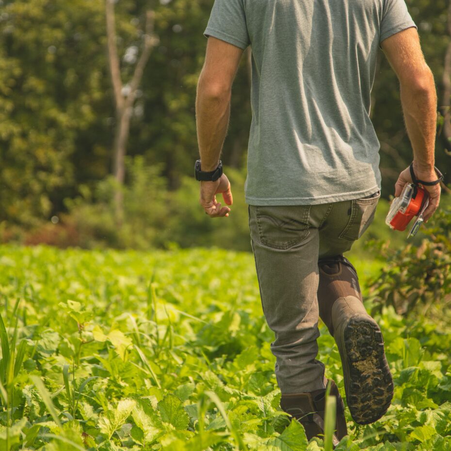 ES Buffalo Fall Mix® - Eagle Seed, LLC