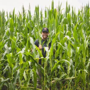 Roundup Ready® Tolerant Corn - 108 day-1 acre - Eagle Seed, LLC