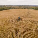 Roundup Ready®/Liberty Link® Tolerant Corn - 109 day-1 acre - Eagle ...