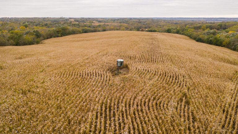 Roundup Ready®/Liberty Link® Tolerant Corn - 109 day-1 acre - Eagle ...