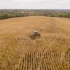Roundup Ready®/Liberty Link® Tolerant Corn - 109 day-1 acre - Eagle ...