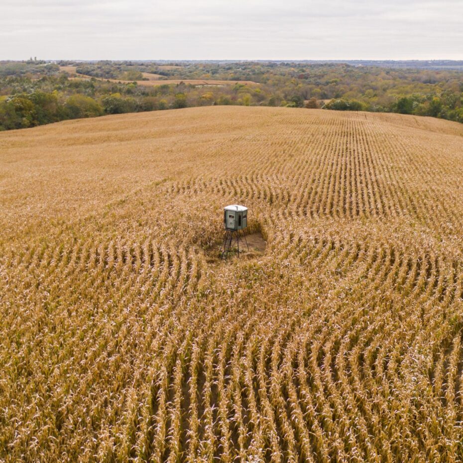 Roundup Ready® Tolerant Corn - 108 day-1 acre - Eagle Seed, LLC
